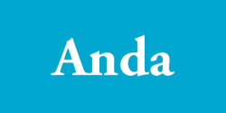 General Classification of Type - Anda Creative